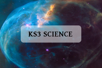 RS TUTORING – Because Education is Key